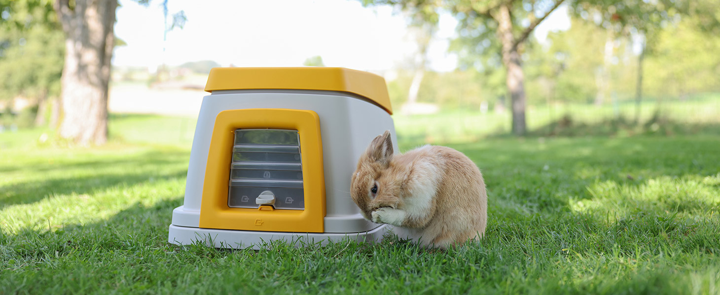 Kerbl Pet | Premium pet supplies for dogs, cats, rodents & birds