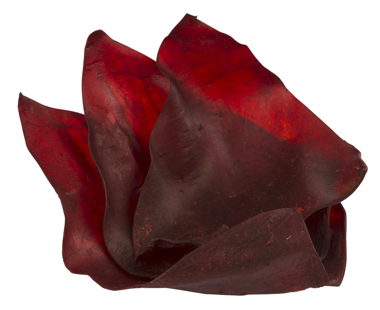 Beef ears - Kerbl Pet