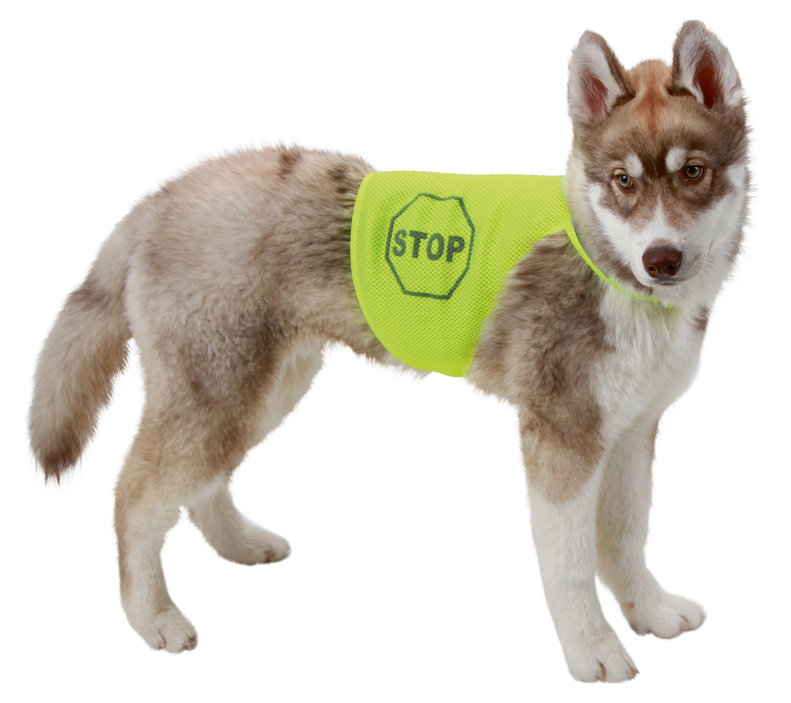 Safety Vest - Kerbl Pet